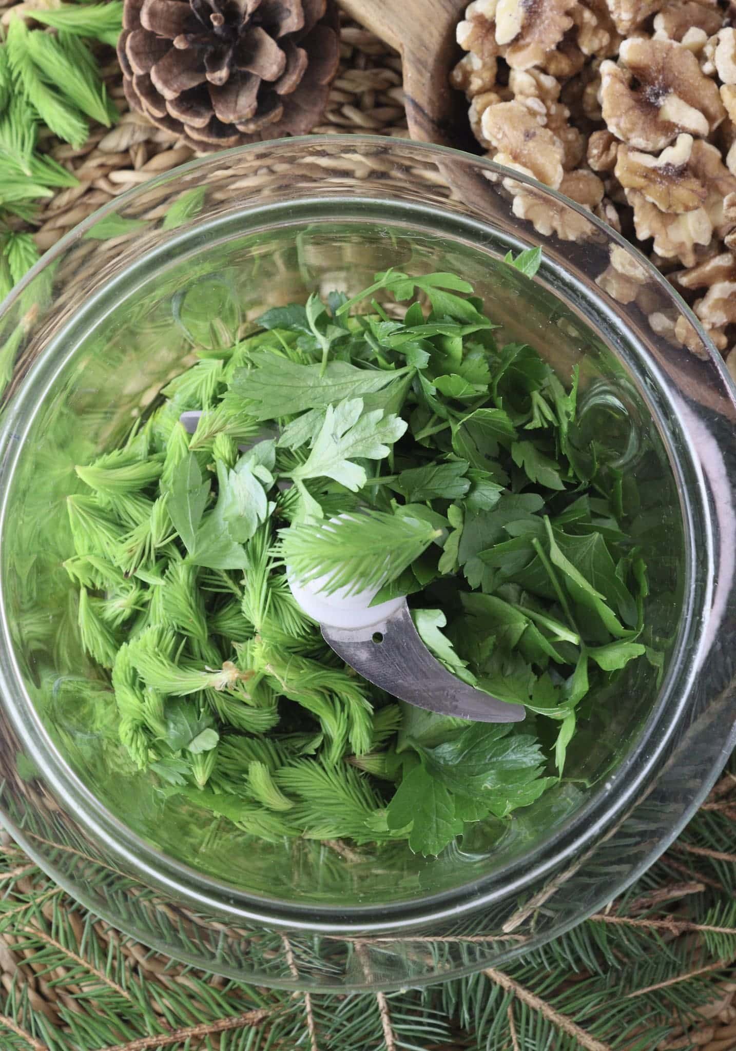 Spruce Tip Pesto with Walnuts