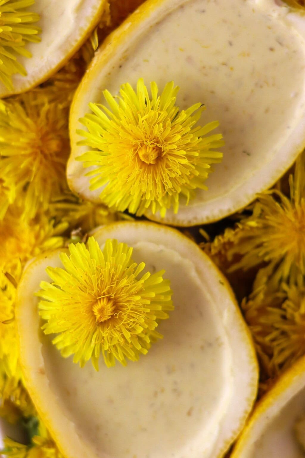Lemon Dandelion Dessert Shells
